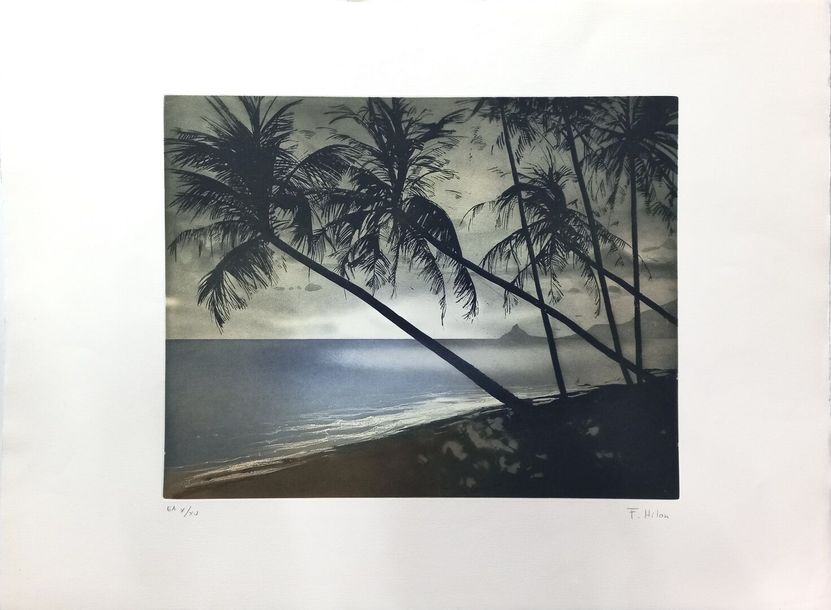 France Hilon | La grande savane; Jackson Bay | MutualArt