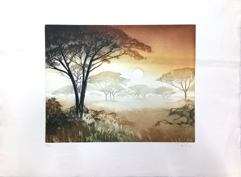 France Hilon | La grande savane; Jackson Bay | MutualArt