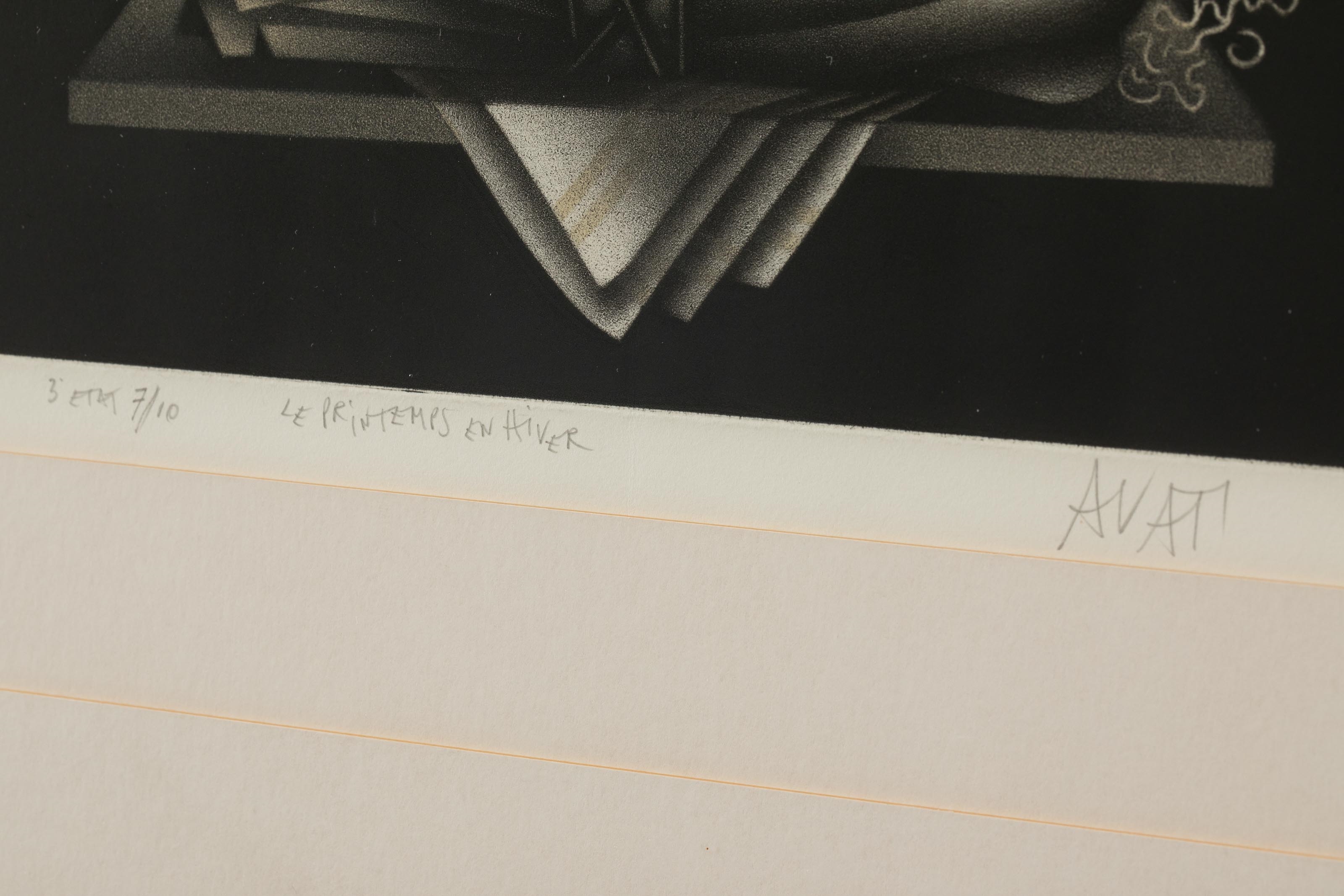 Mario Avati | Le printemps en hiver'; 'Des zèbres de toutes les ...