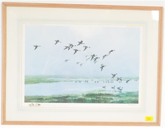 Peter Markham Scott | SIR PETER MARKHAM SCOTT LIMITED EDITION PRINT ...