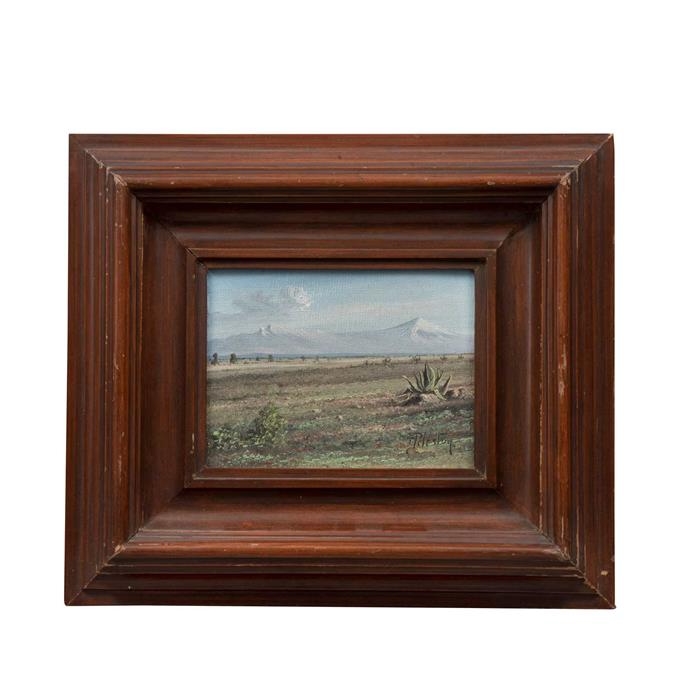 Carlos Pelestor | VISTA DE LOS VOLCANES | MutualArt