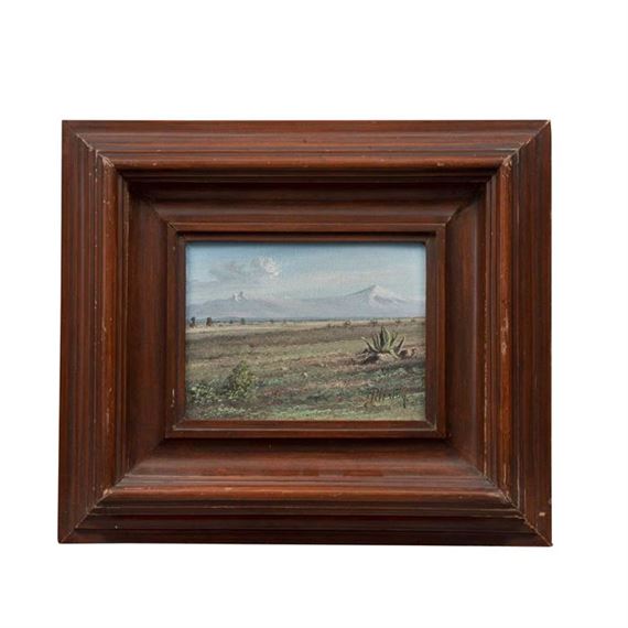 Carlos Pelestor | VISTA DE LOS VOLCANES | MutualArt