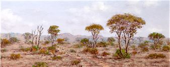 Henry Bredenkamp | BUSHVELD SCENE | MutualArt
