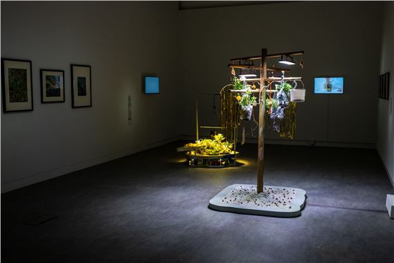 Frances Disley | Artist Overview | MutualArt