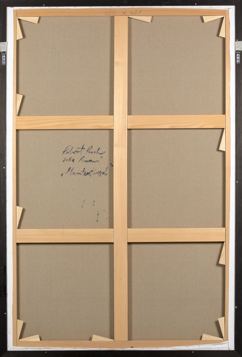Robert Proch | Unintentionnal (2014) | MutualArt