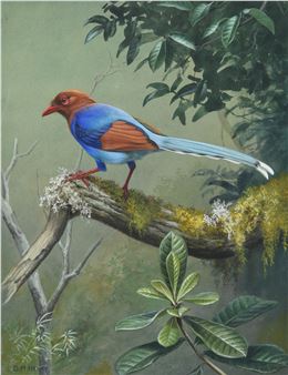 David Morrison Reid Henry | 44 Artworks at Auction | MutualArt