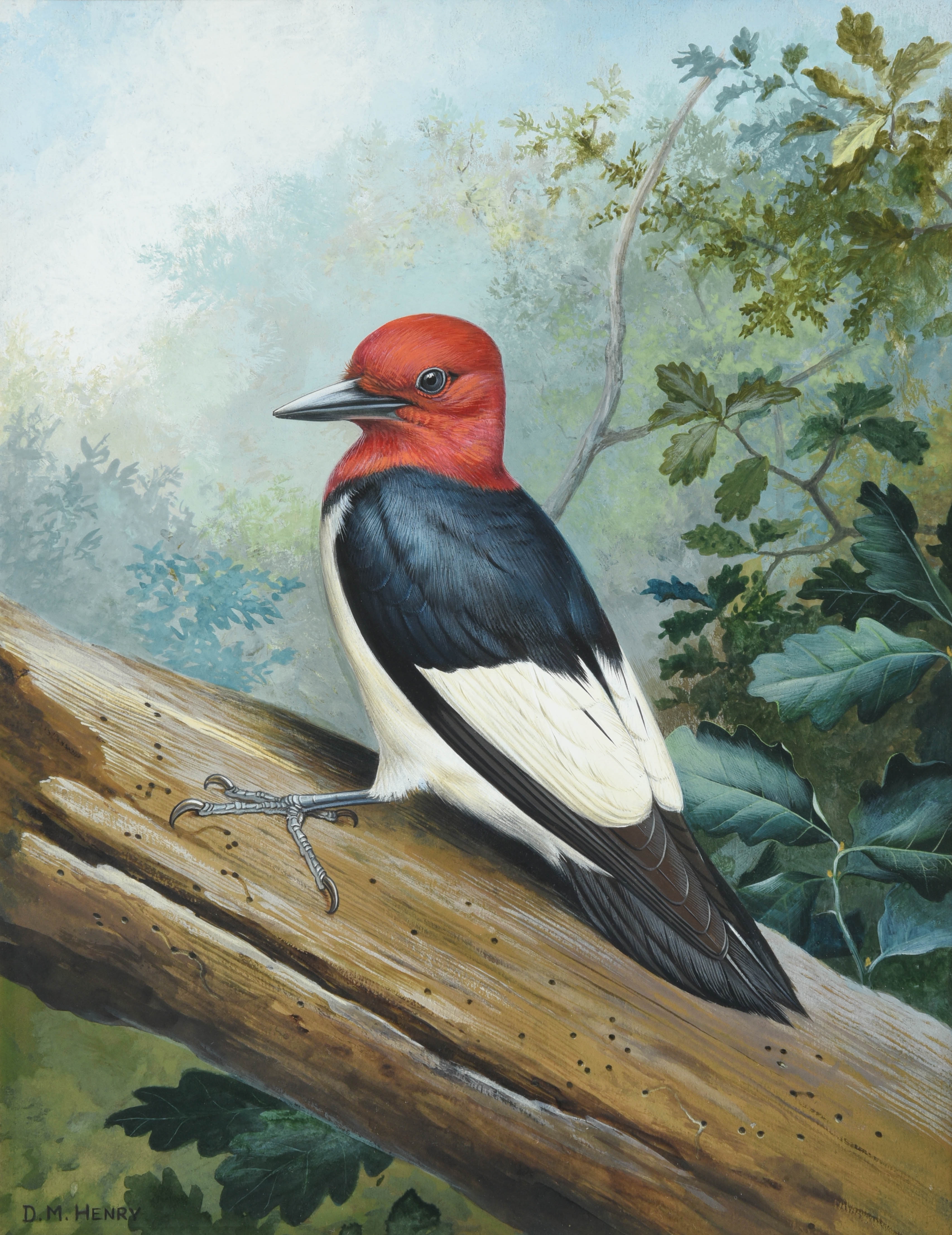 David Morrison Reid Henry | Kingfisher | MutualArt