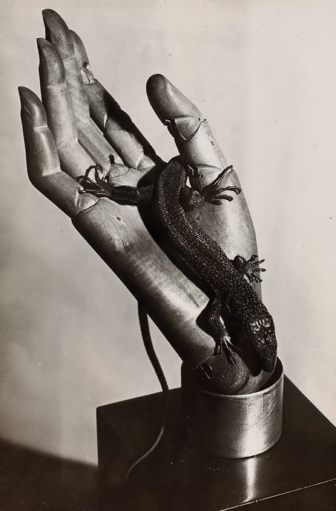 Man Ray | Hand and lizard (Circa 1935) | MutualArt