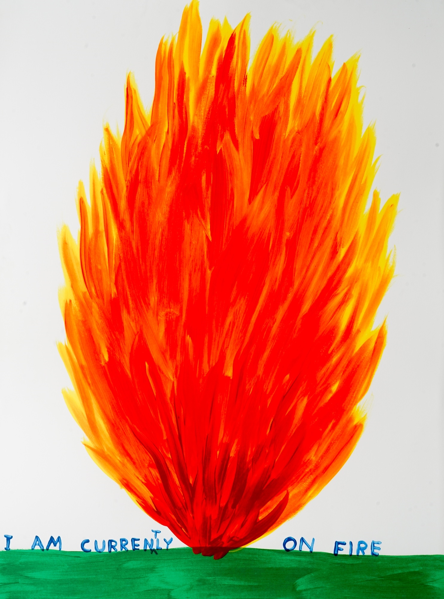 David Shrigley | I Am Currently On Fire (2018) | MutualArt