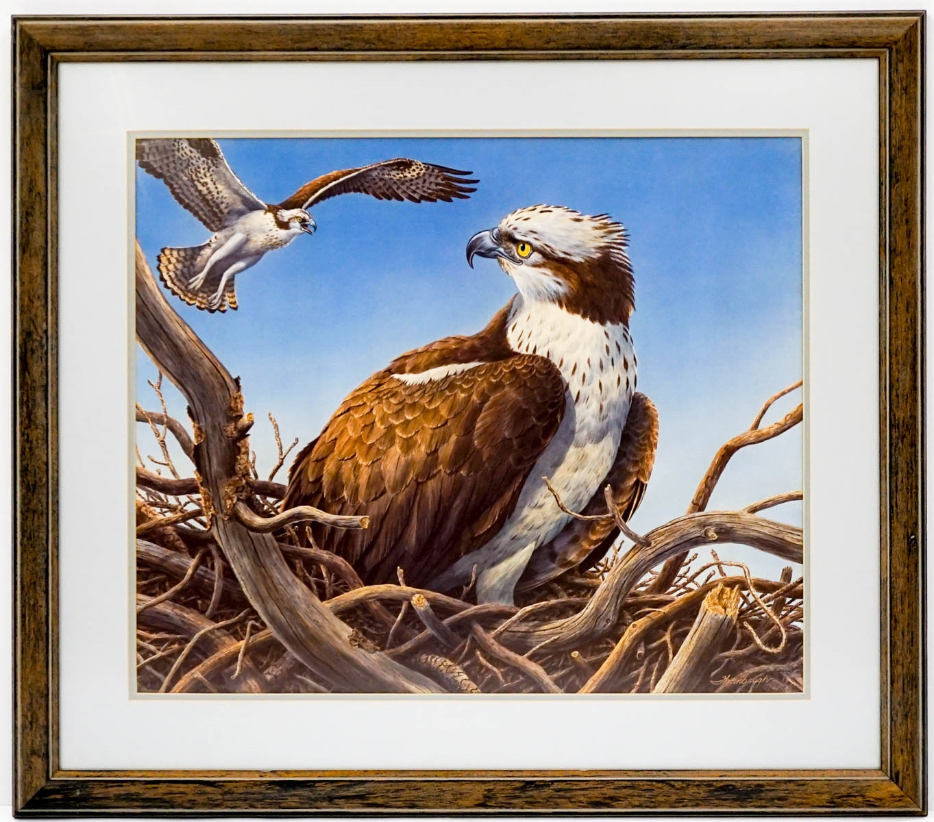 Joseph Thornbrugh | Joseph Thornbrugh | MutualArt