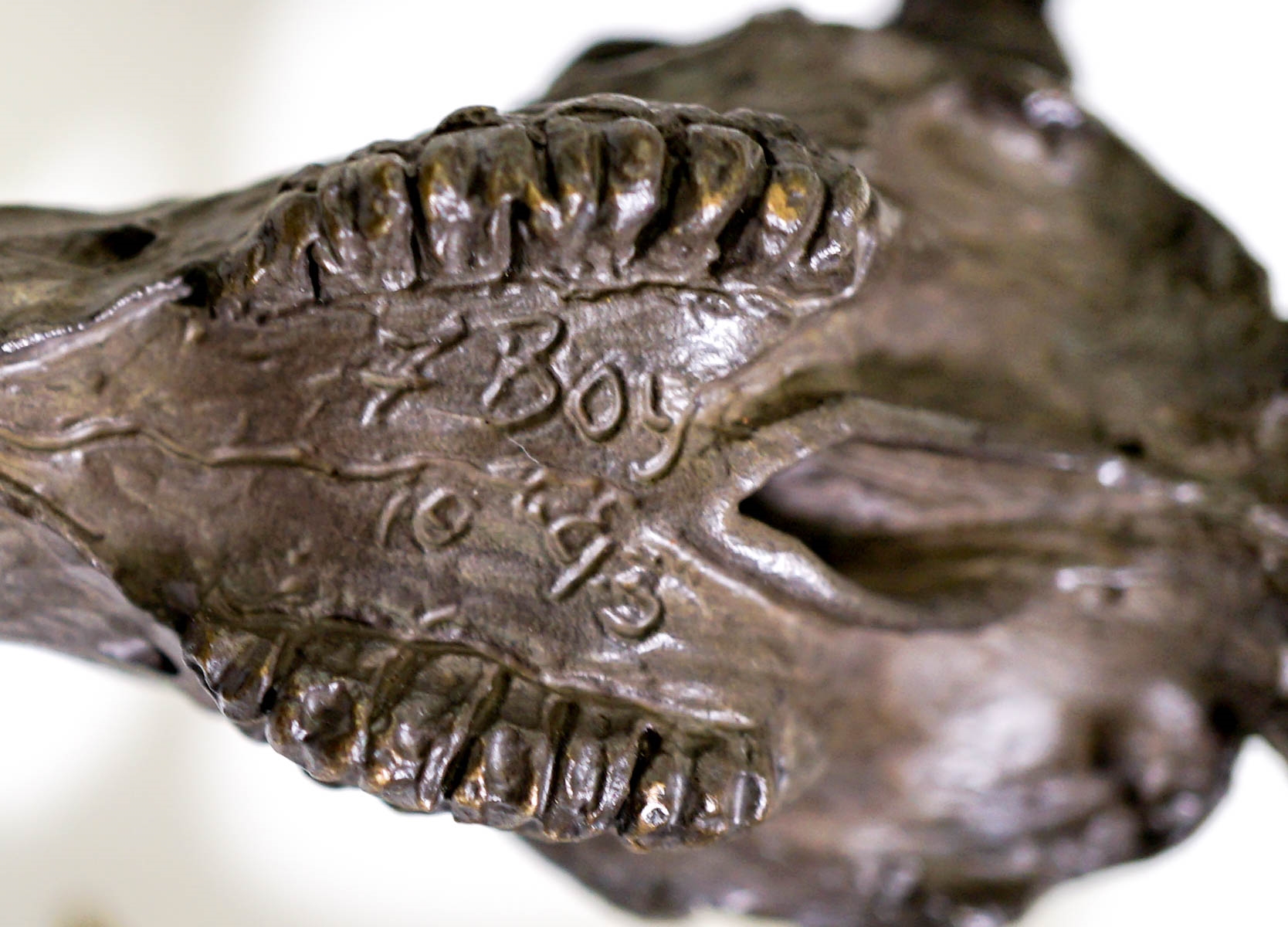 Fred Boyer | Fred Boyer | MutualArt