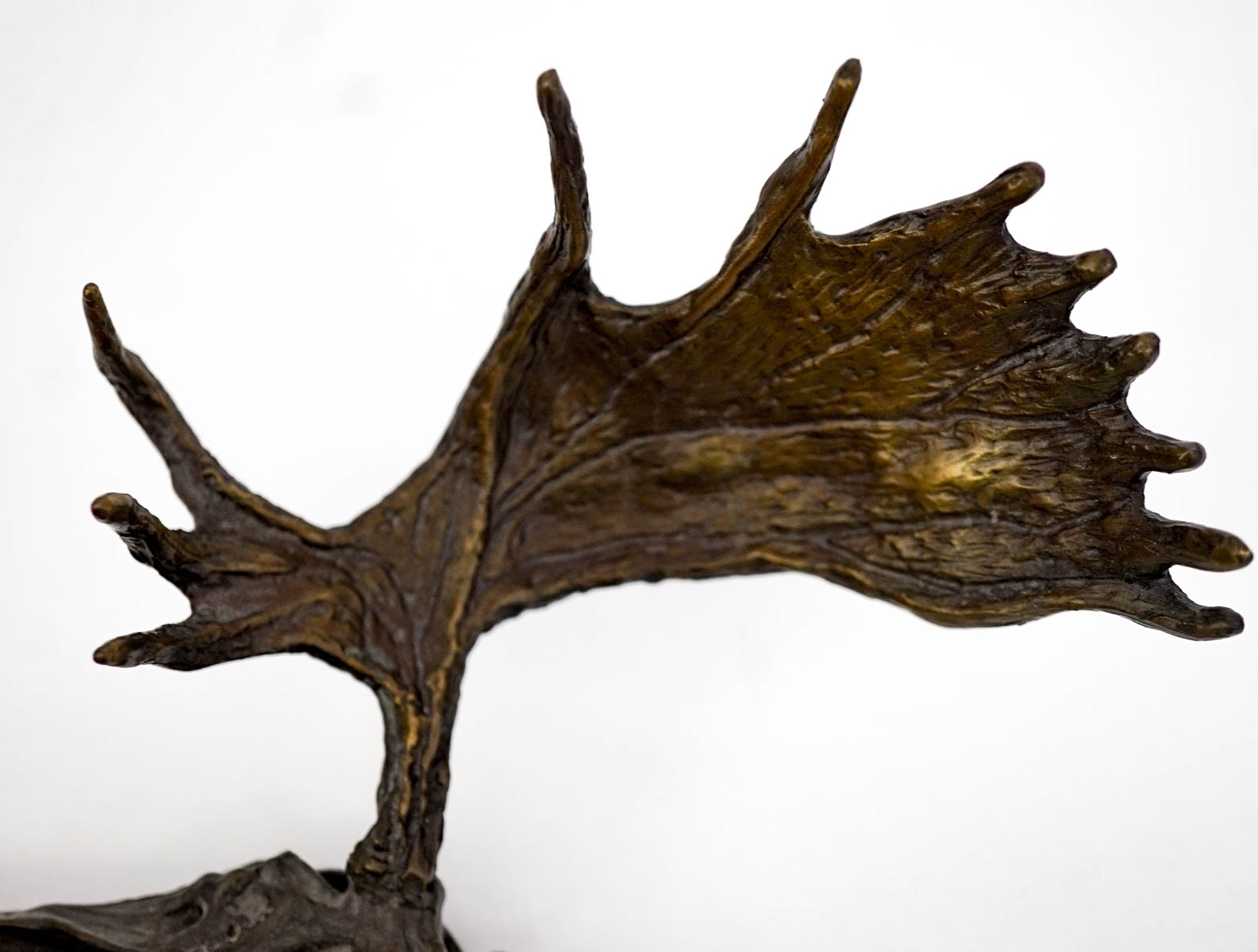 Fred Boyer | Fred Boyer | MutualArt