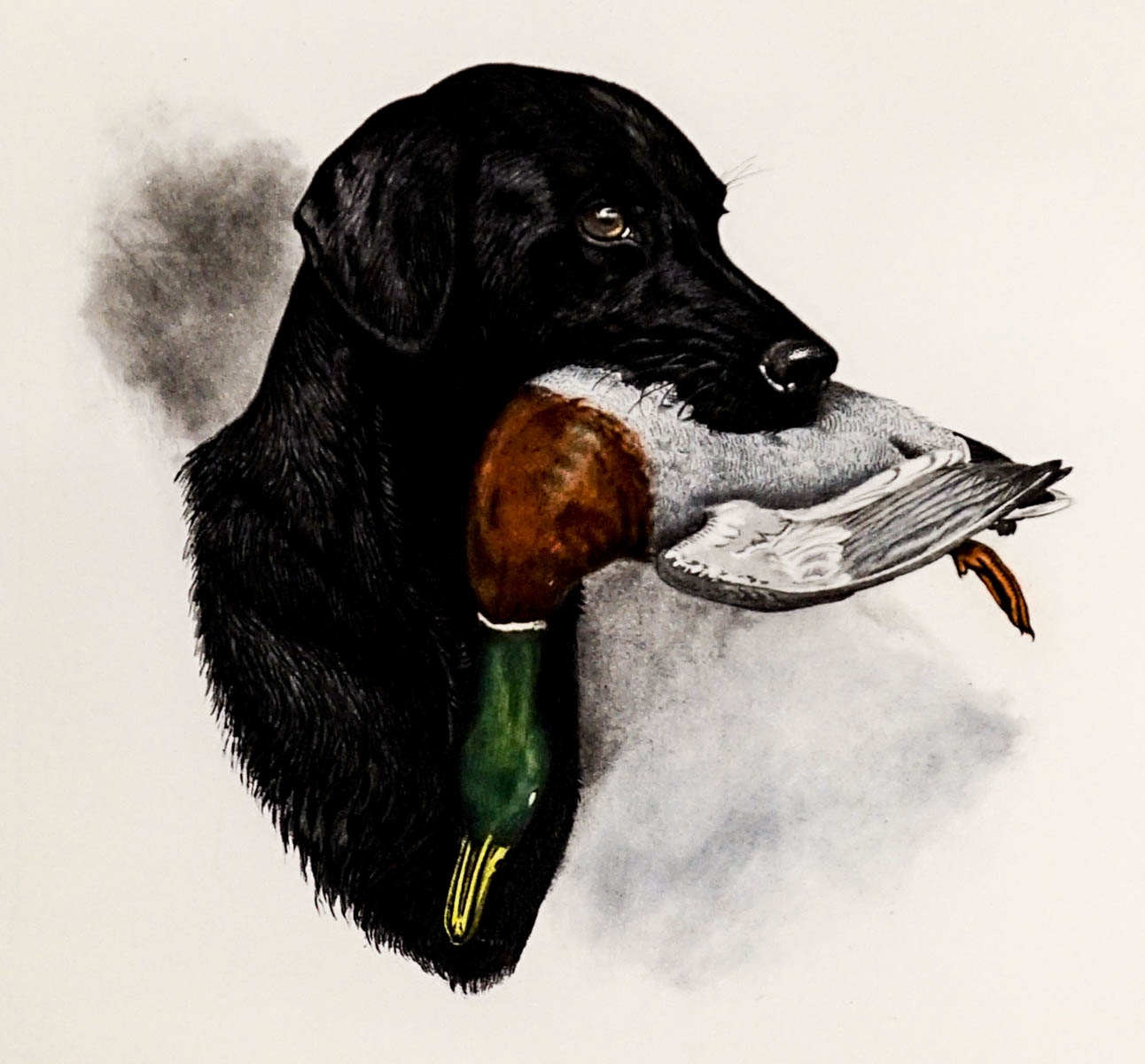 Boris Riab | Boris Riab | MutualArt