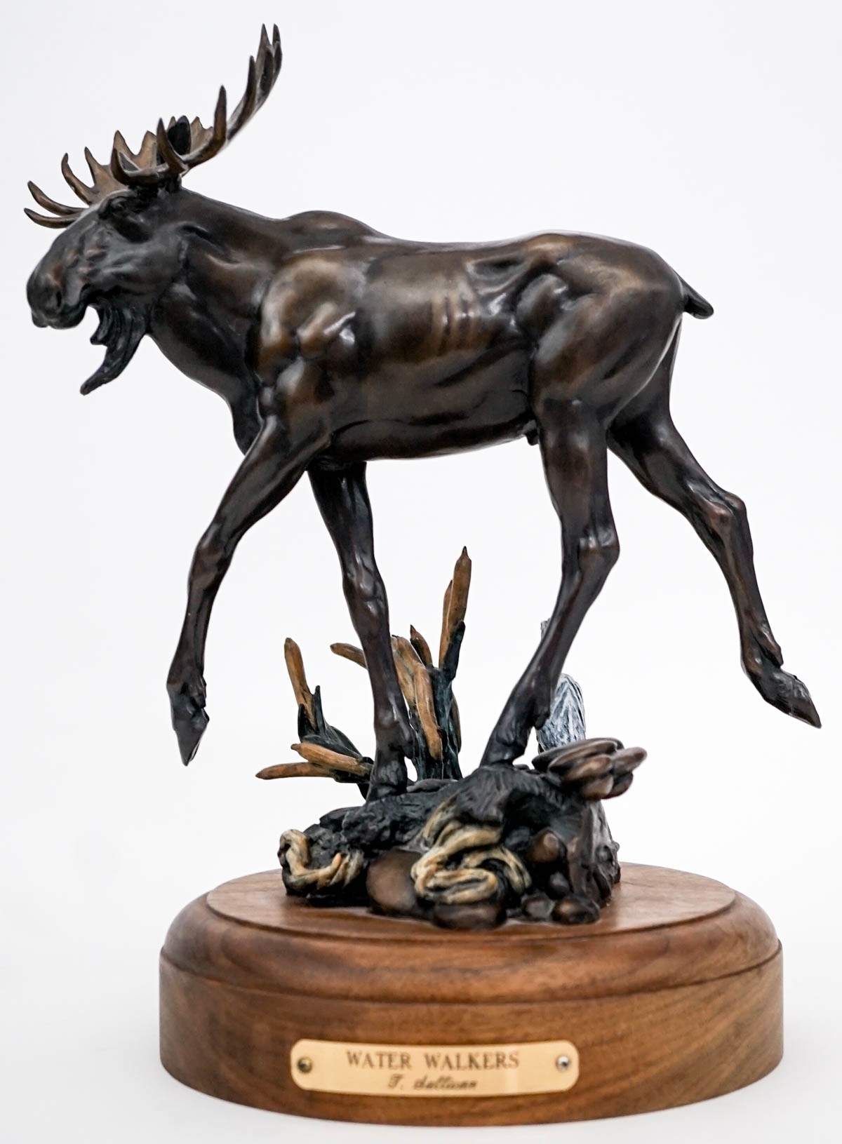 Tim Sullivan | Tim Sullivan | MutualArt