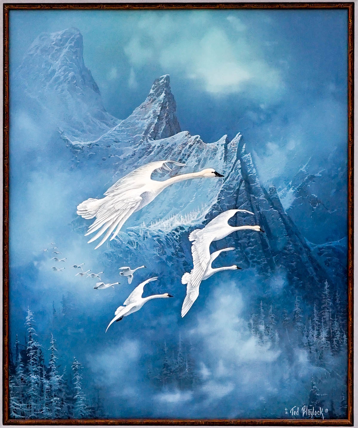 Ted Blaylock | Ted Blaylock | MutualArt