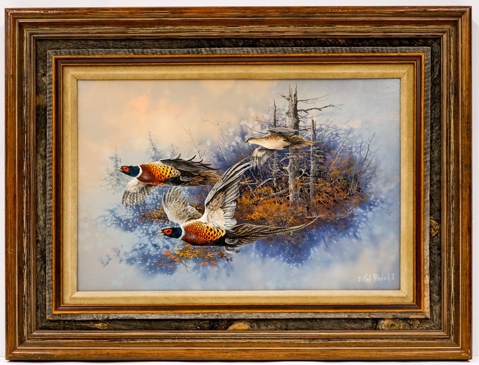 Ted Blaylock | Ted Blaylock | MutualArt