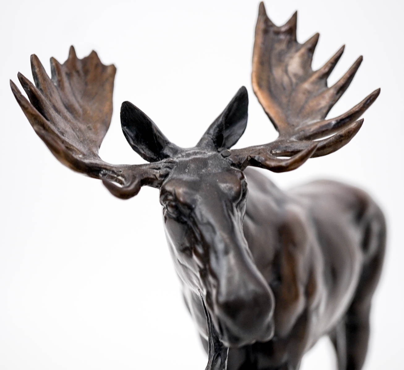 Tim Sullivan | Tim Sullivan | MutualArt