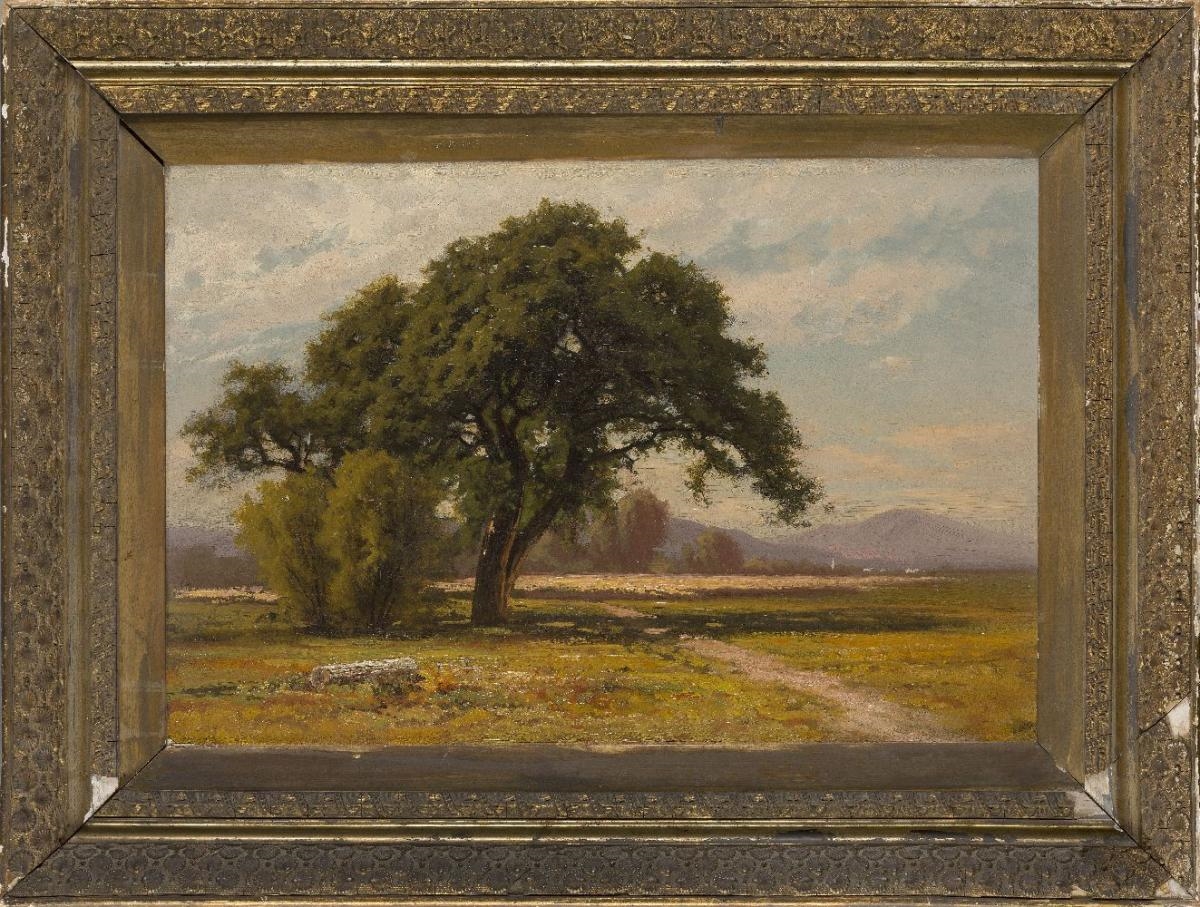 Kenneth Miller Adams | Cal. White Oak | MutualArt