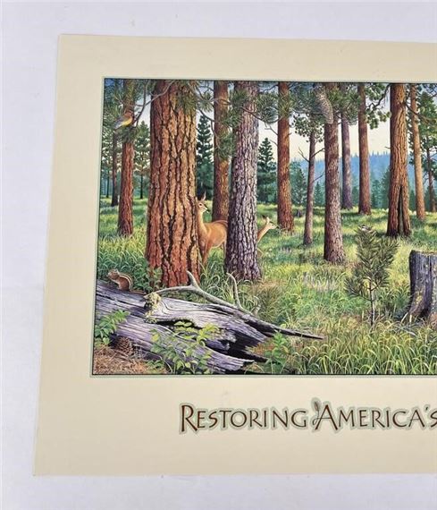 Monte Dolack | Restoring Americas Forest Poster | MutualArt