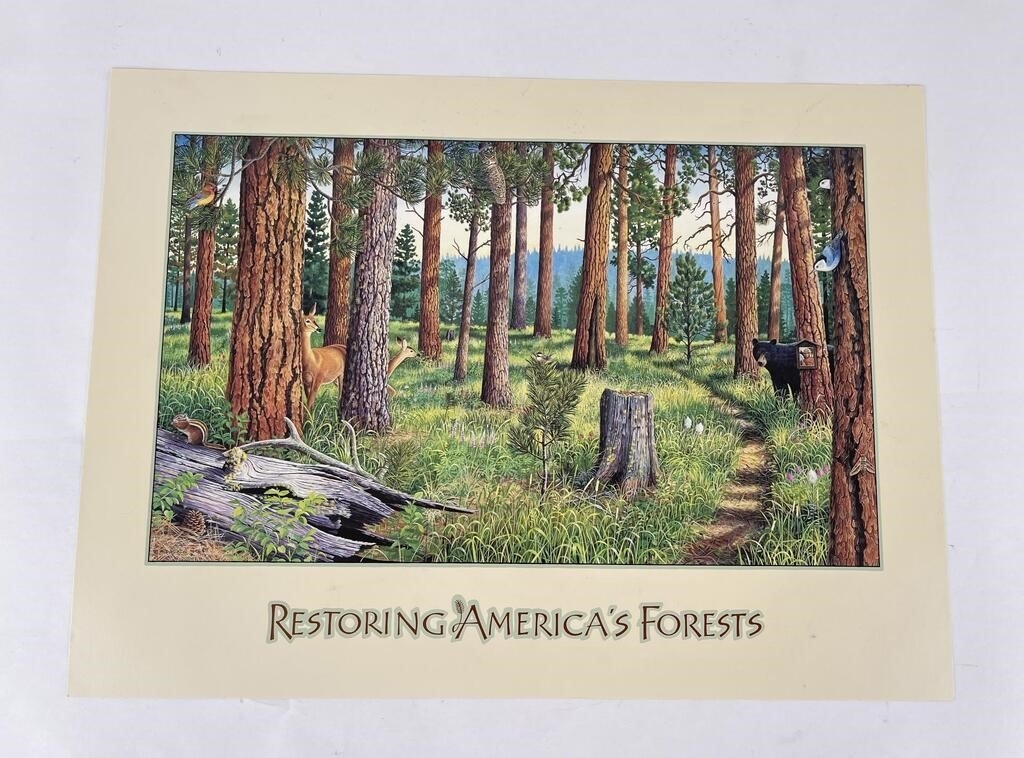 Monte Dolack | Restoring Americas Forest Poster | MutualArt