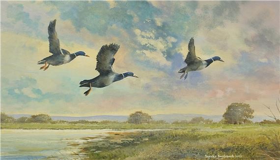 Derek C. Baulcomb | Derek C Baulcomb 2001 - Three geese flying above ...