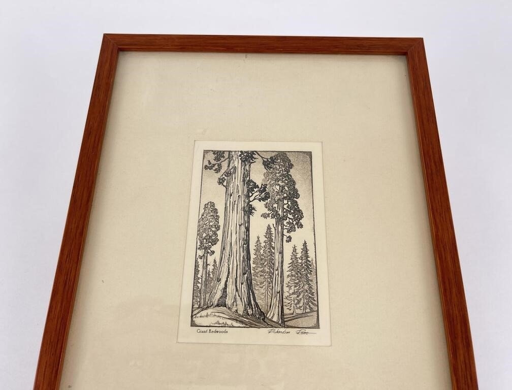 Richardson Rome | Giant Redwoods | MutualArt