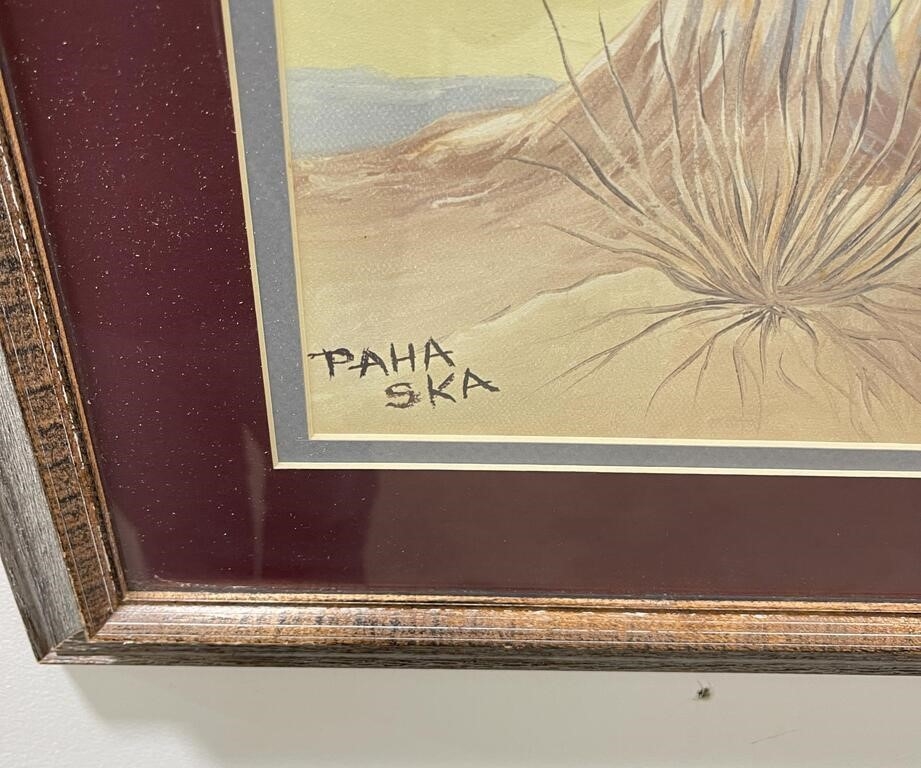 Paha Ska | Untitled | MutualArt