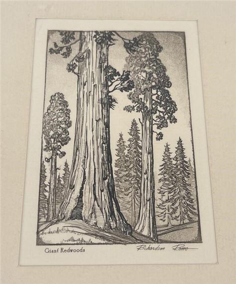 Richardson Rome | Giant Redwoods | MutualArt