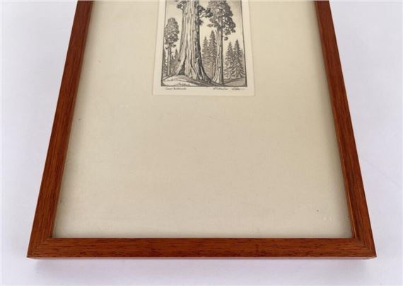 Richardson Rome | Giant Redwoods | MutualArt