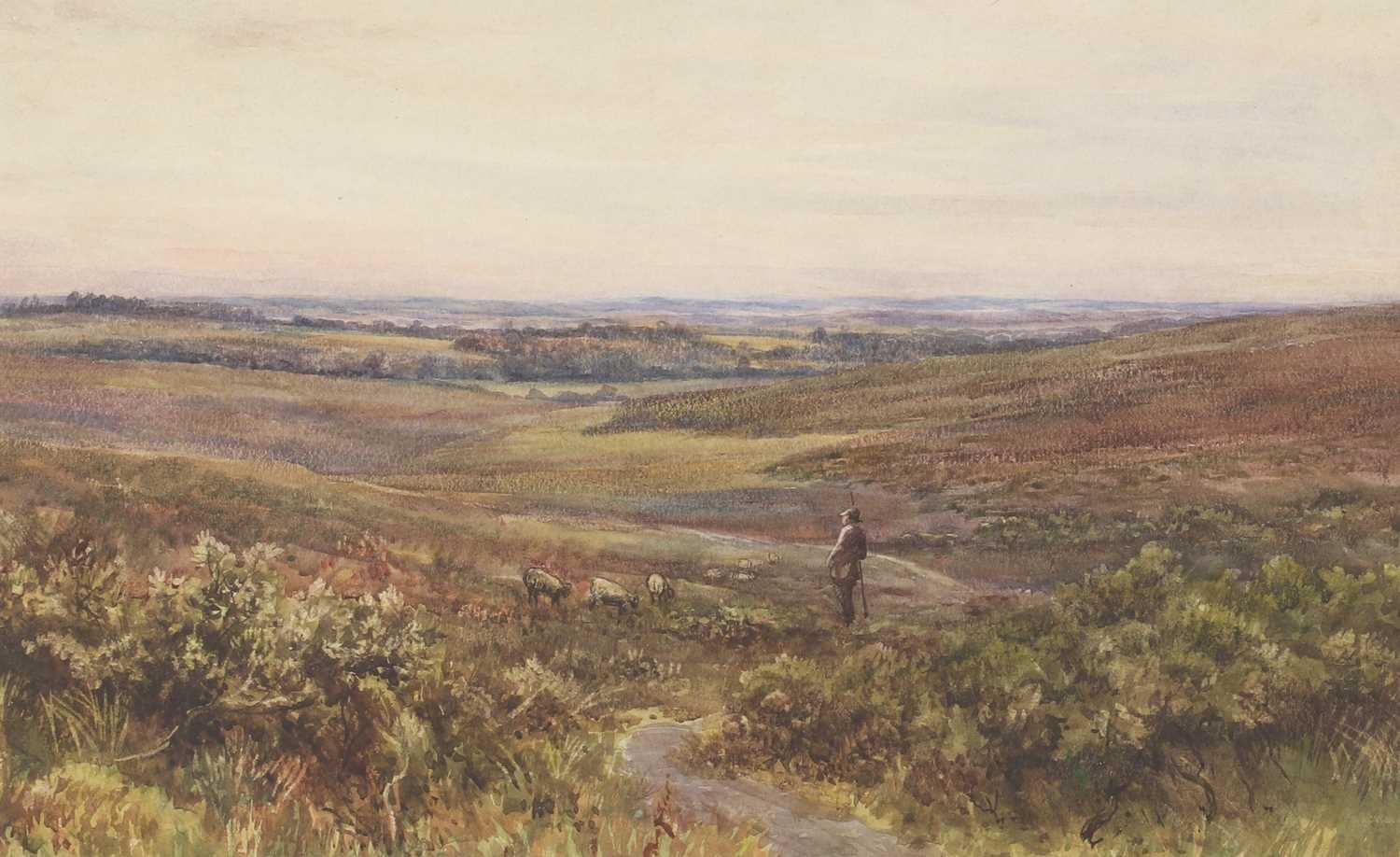 Rupert Stevens | A shepherd and his flock in an extensive Scottish ...