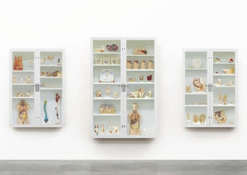 Damien Hirst | The Incomplete Truth | MutualArt