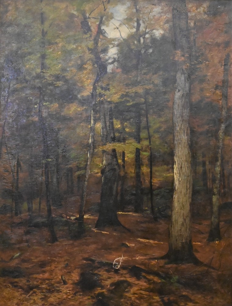 Roswell Morse Shurtleff | Late Afternoon in an Autumn Wood | MutualArt