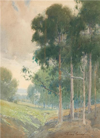 Percy Gray | Eucalyptus trees along a shallow ravine | MutualArt