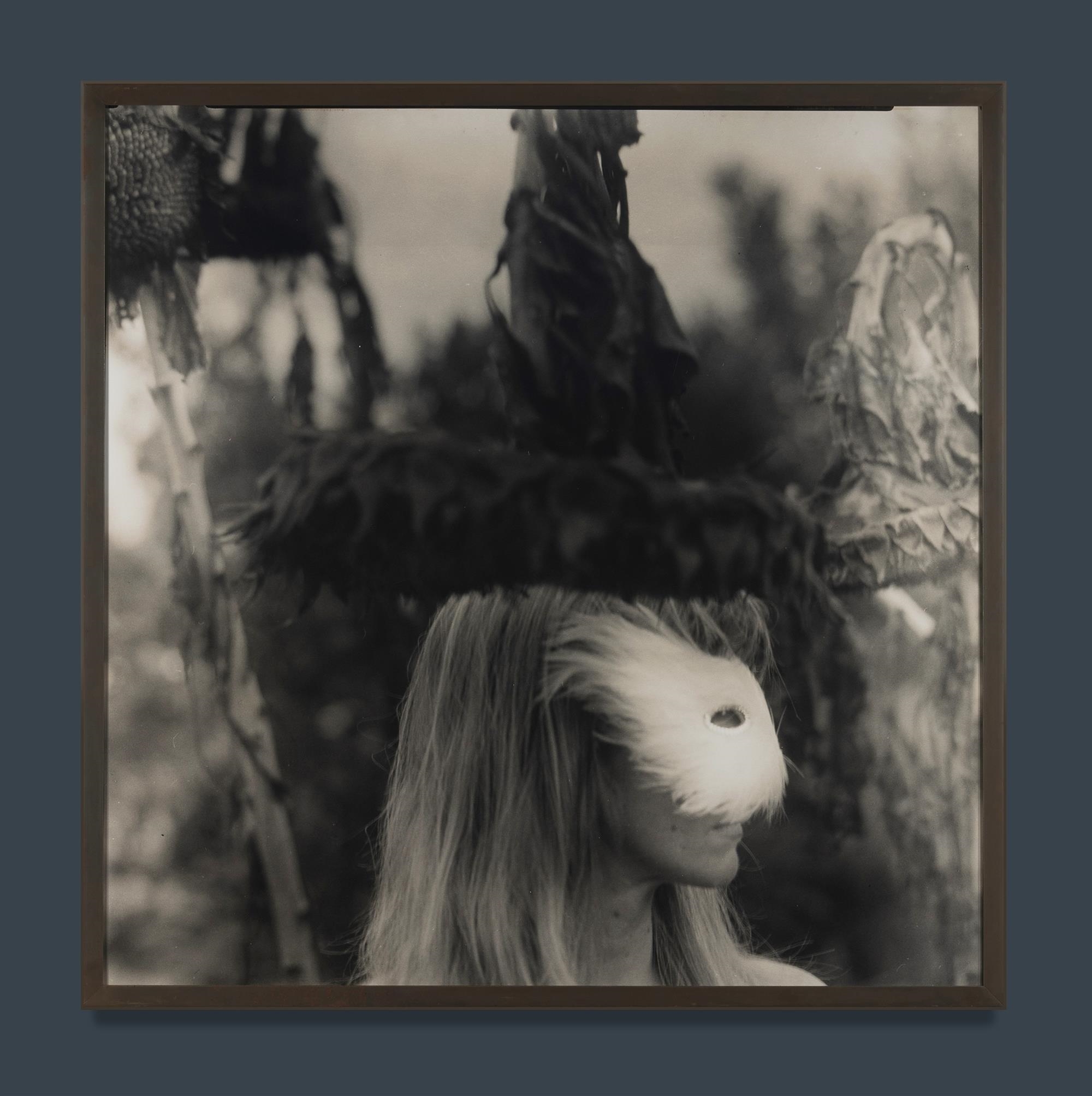 John Lethbridge | Sunflower (1995) | MutualArt