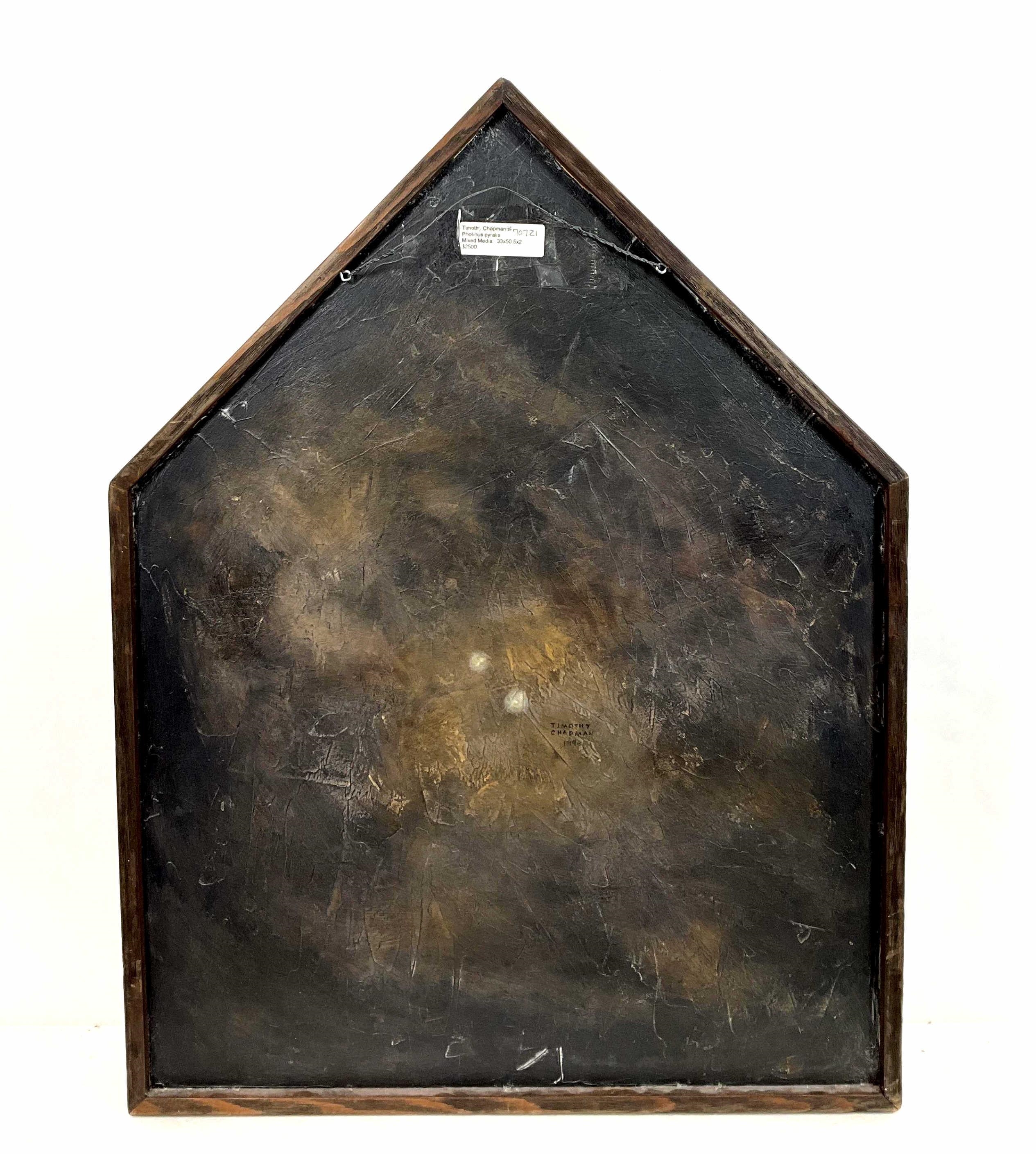 Timothy Chapman | Photinus Pyralis - Triptych | MutualArt