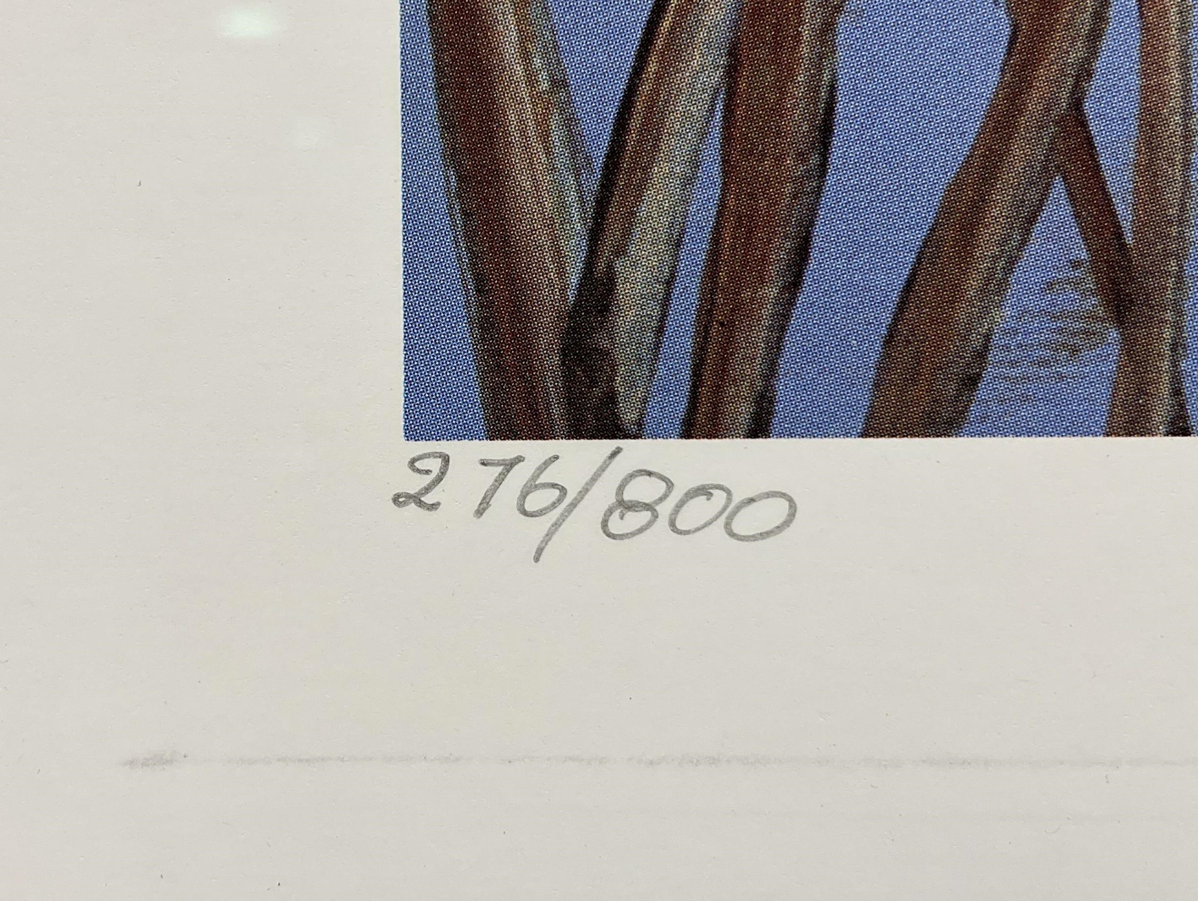 Larry Barton | Duck | MutualArt