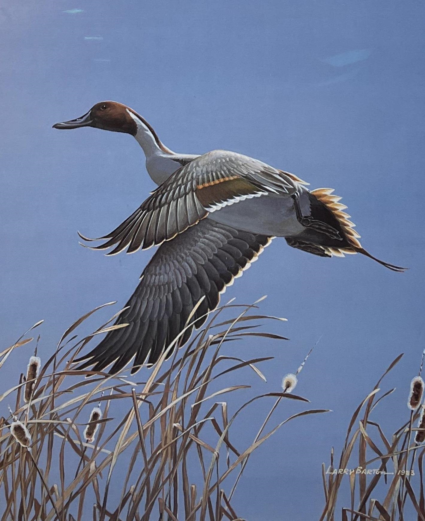 Larry Barton | Duck | MutualArt