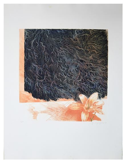Giuseppe Guzzone | Studio per fiore (1980) | MutualArt