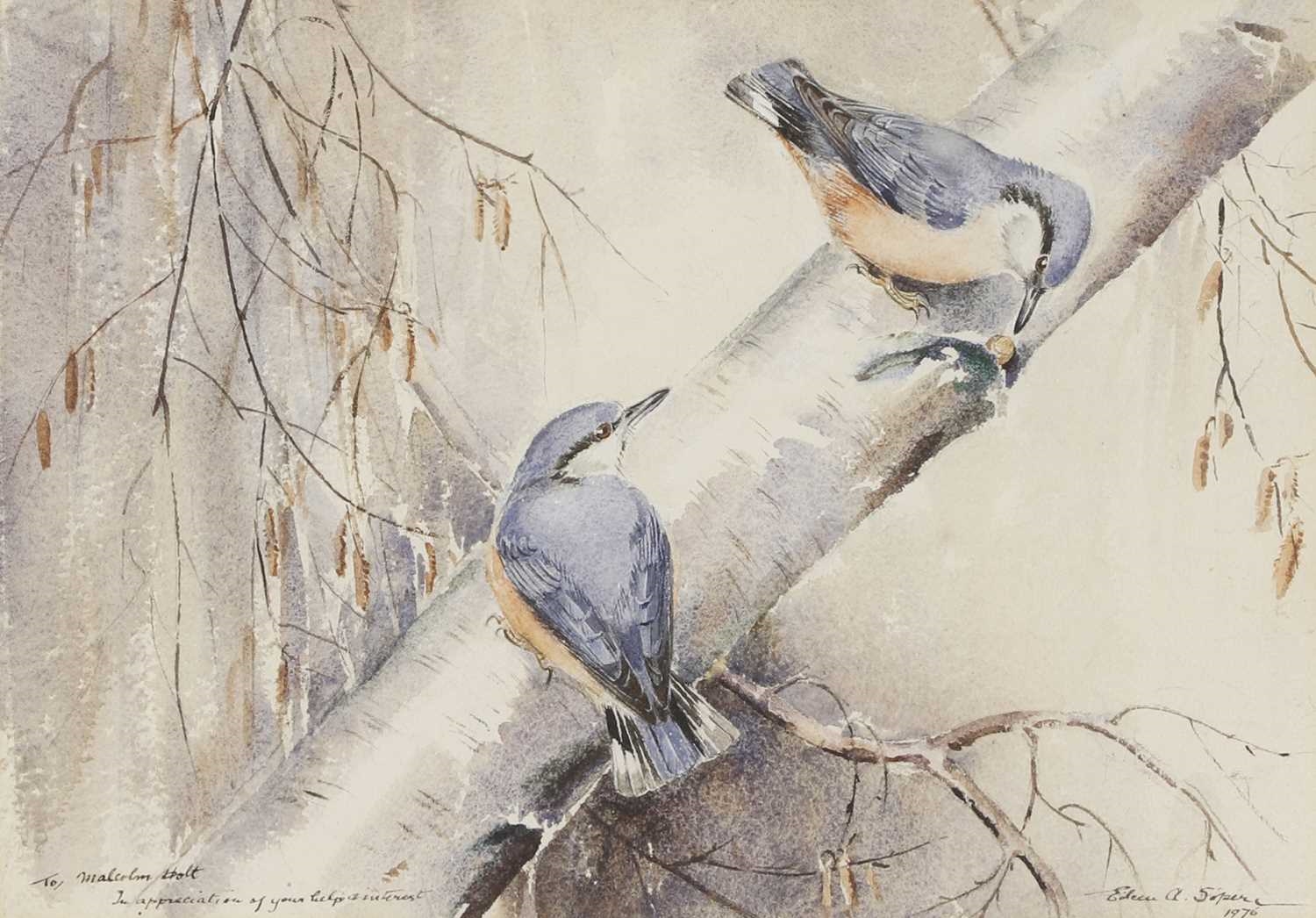 Eileen Alice Soper | Nuthatches (1976) | MutualArt