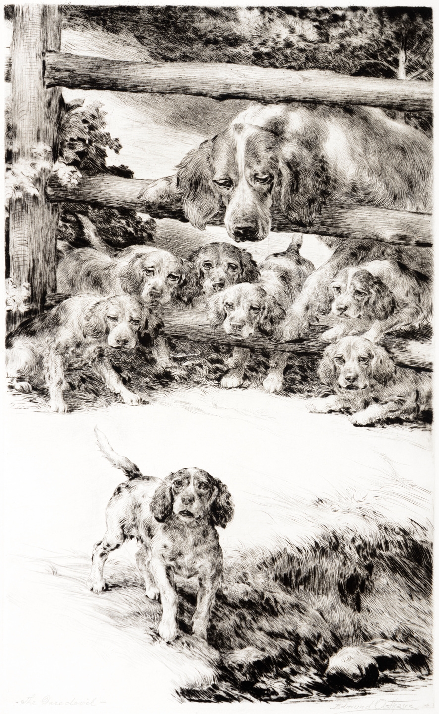 Edmund Henry Osthaus | Setter Family | MutualArt