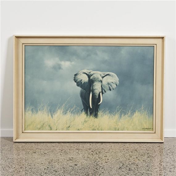 David Shepherd | Wise Old Elephant | MutualArt