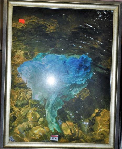 Jacqueline Shanks | 1 Artworks at Auction | MutualArt