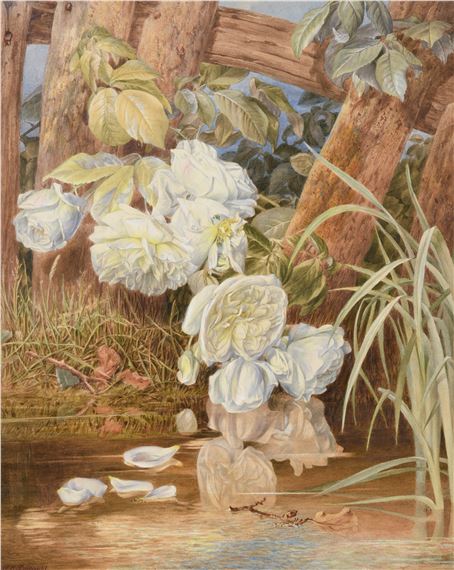 Mary Elizabeth Duffield | Still life of white Roses on a riverbank ...