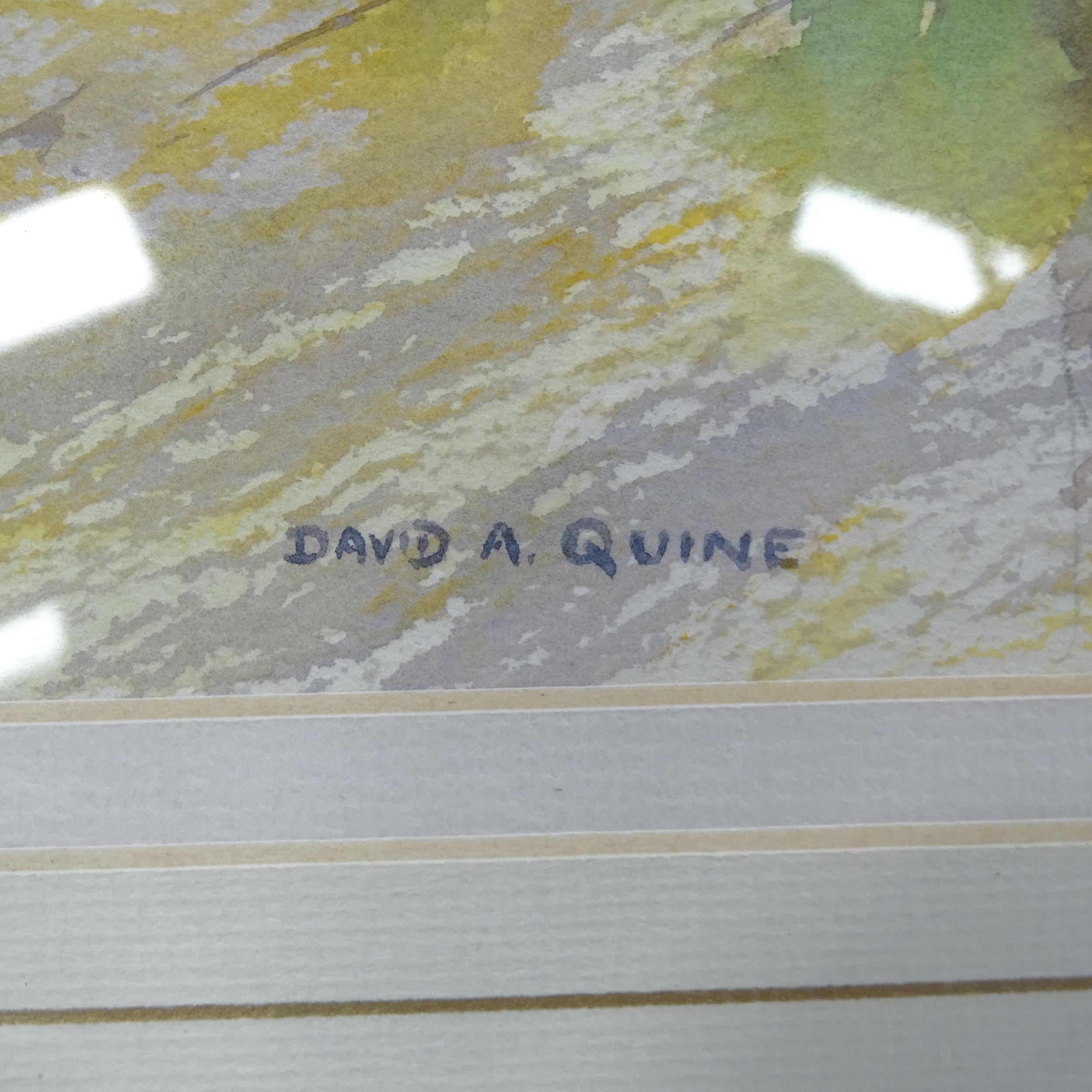 David A Quine | sea birds | MutualArt