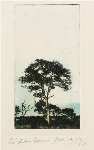 Braam Wijk | 9 Artworks at Auction | MutualArt