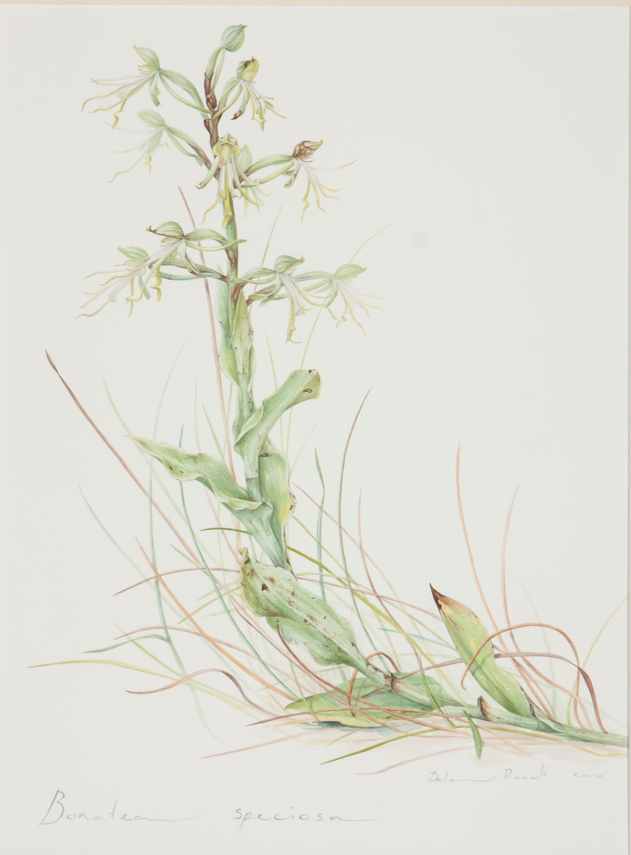 Daleen Rood | Daleen Roodt (South African 20th Century) BONATEA ...