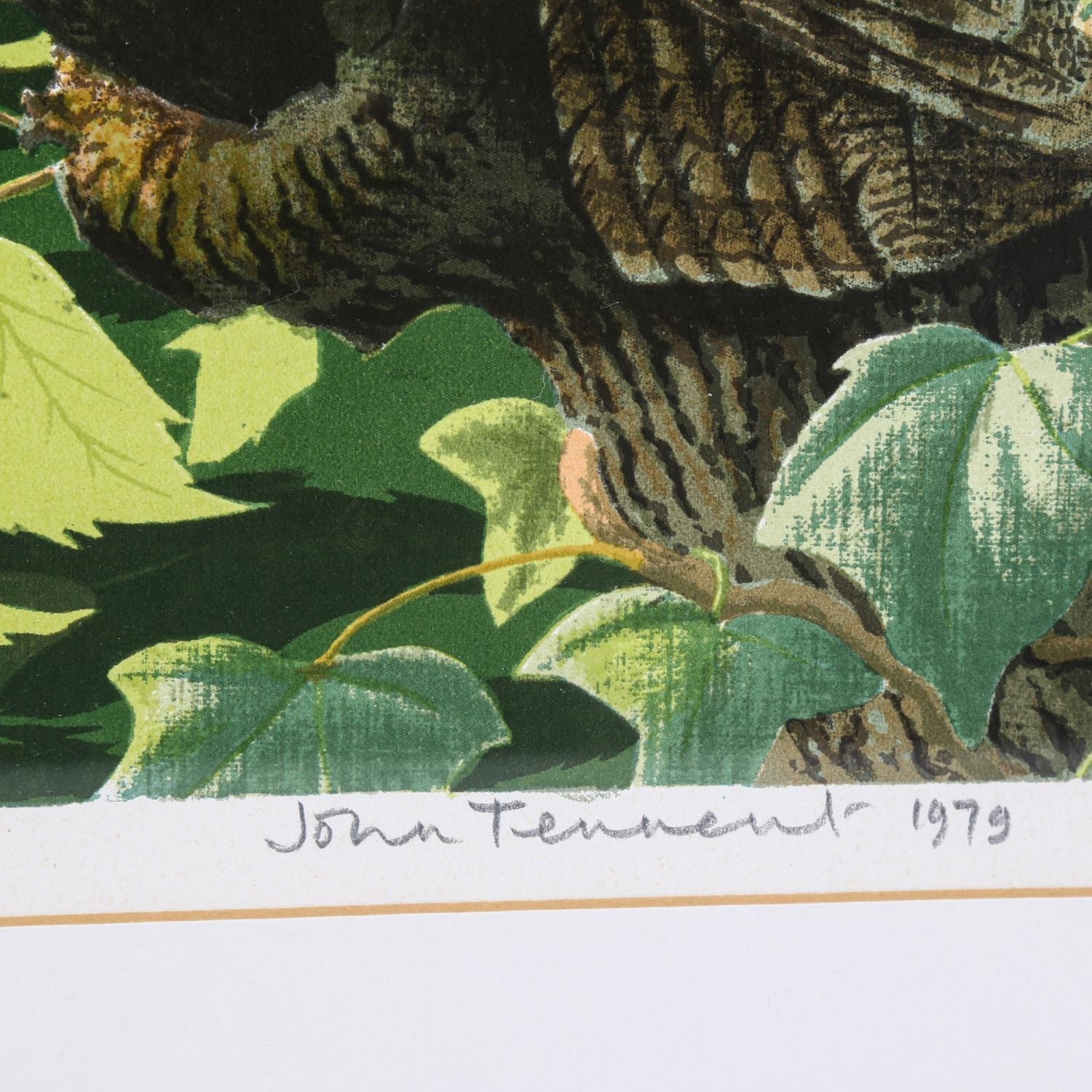 John Tennent | watercolour tawny owl | MutualArt