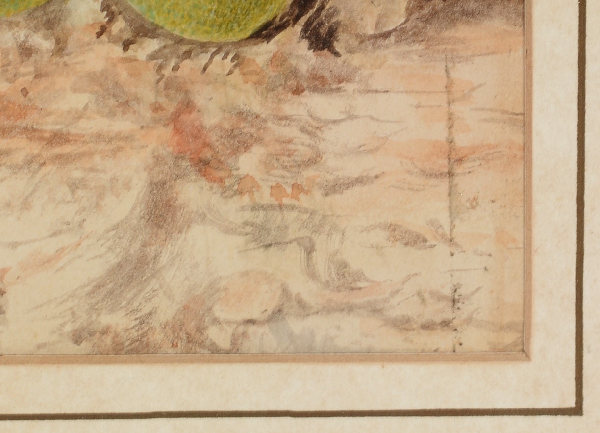 John Sherrin | Still Life with Grapes | MutualArt