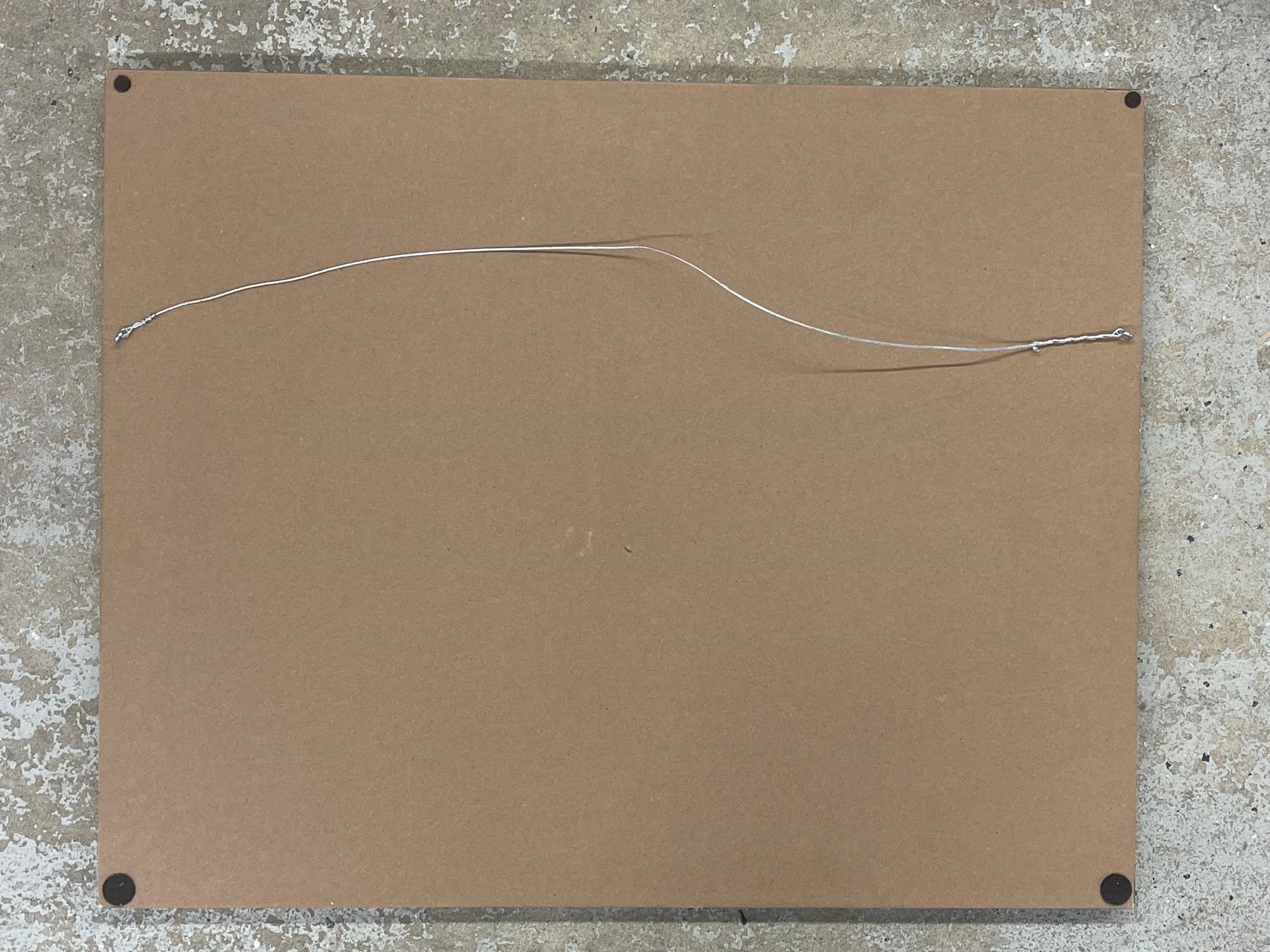 Andrew Wyeth | The Coot Hunter | MutualArt