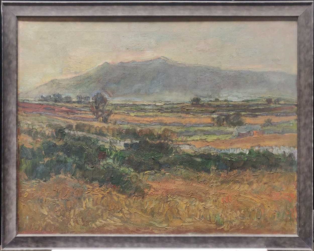 Peter Shaw | Craig Goch, Wales | MutualArt